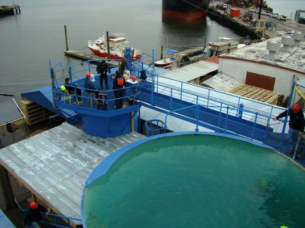 International Diving Institute « Shipwrecks.com